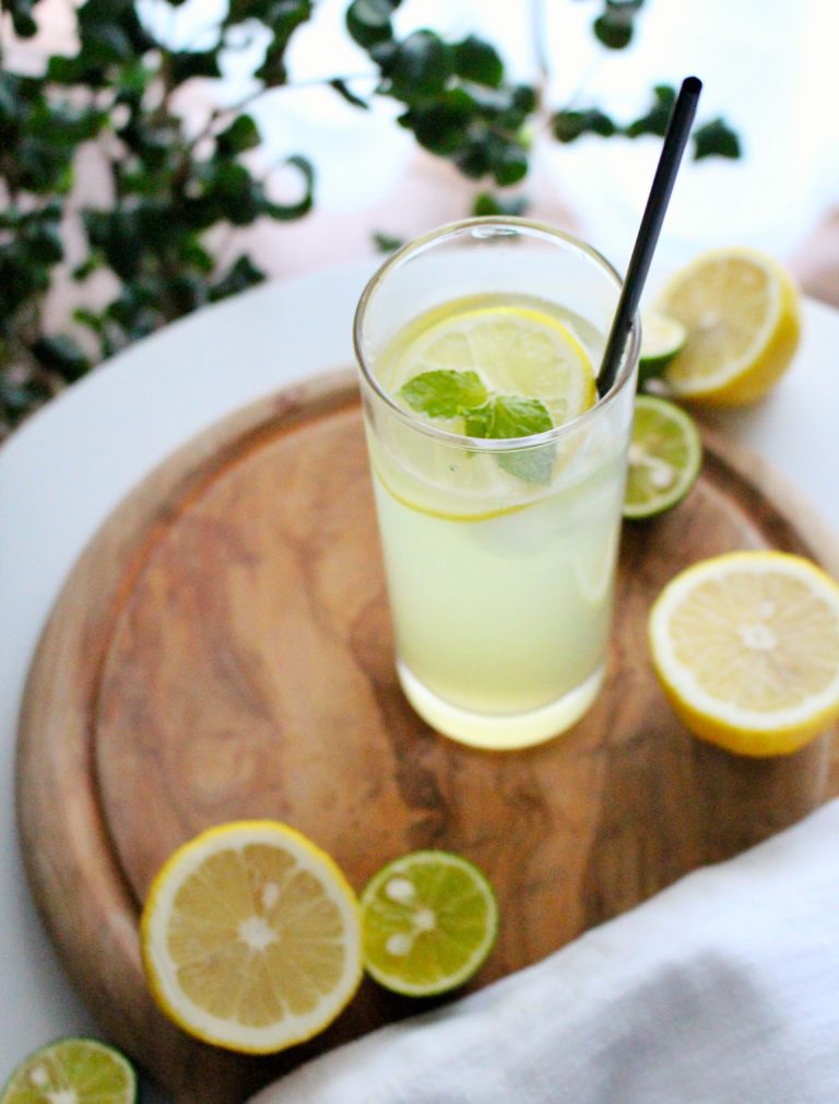 Fresh Homemade Lemonade Syrup – INDY ASSA